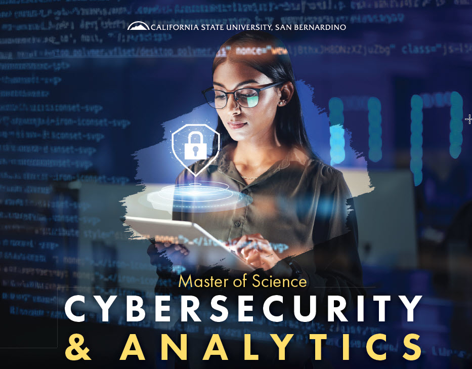 Master of Science in Cybersecurity and Analytics Online | Professional and Continuing Education ...